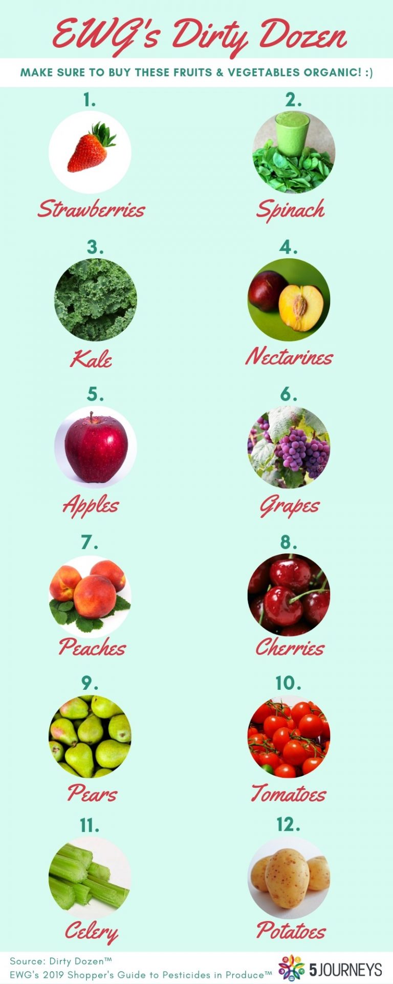 Infographic - EWG's Dirty Dozen | Five Journeys