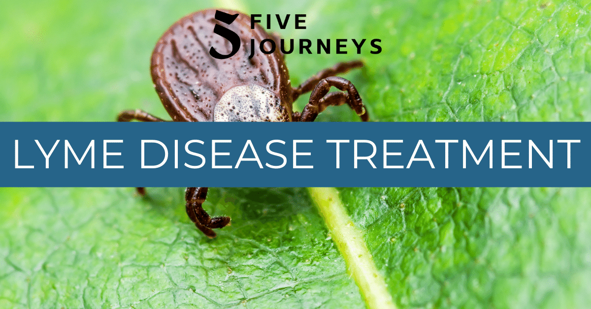 Lyme Disease Treatment In Boston + Newton MA | Five Journeys