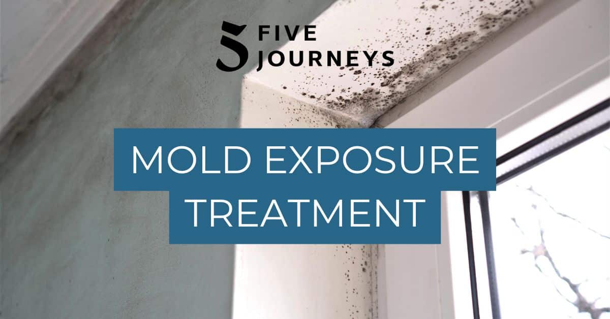 Mold Exposure Treatment Services | Five Journeys